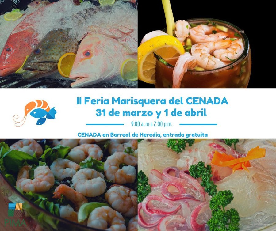 500 personas disfrutarán de mariscada gigante en II Edición de la Feria ...