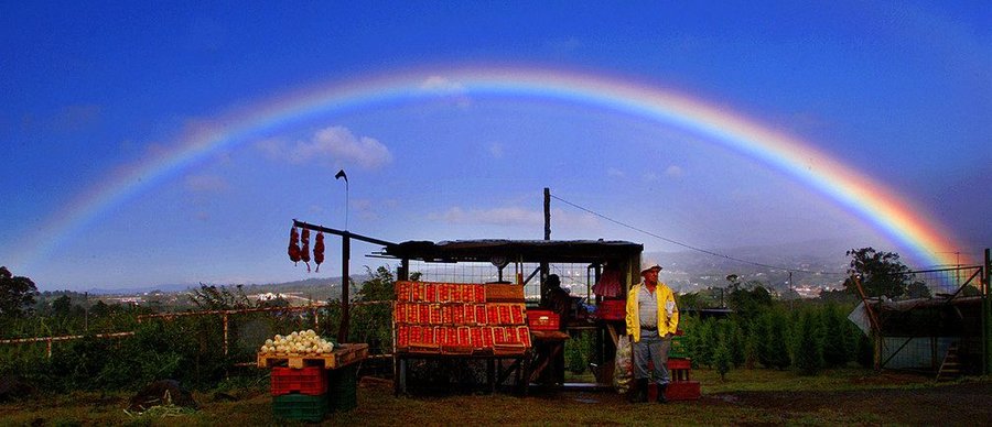 Foro Económico Mundial: Costa Rica es el país más feliz y sostenible ...