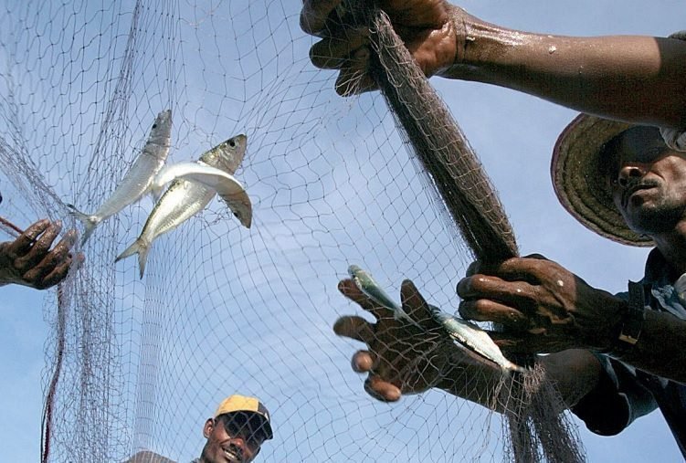 Incopesca y FJIO capacitan a pescadores en pesca sostenible y ...