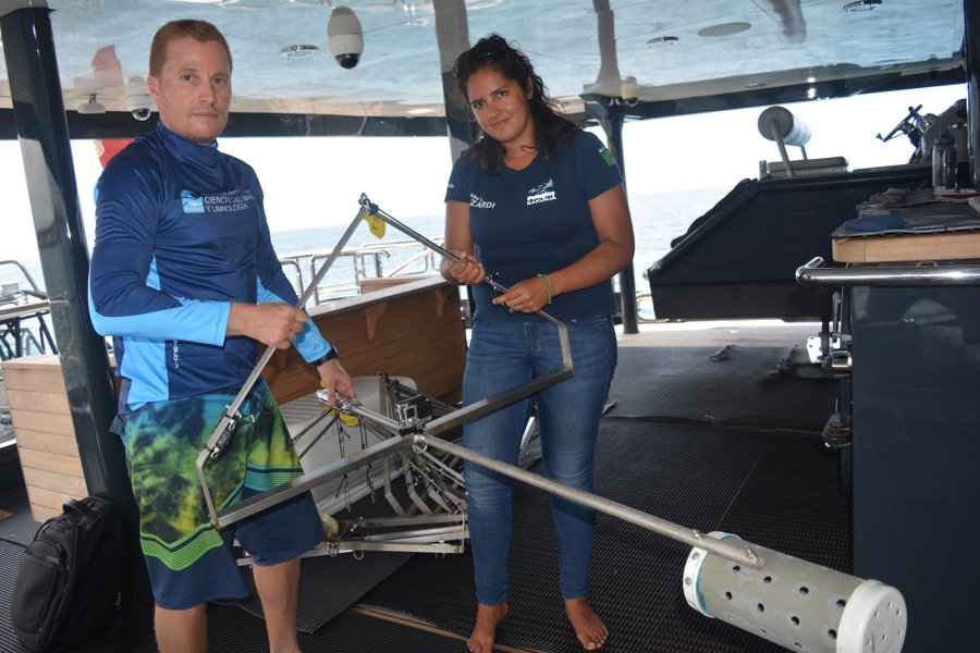 Alistando el Sistema BRUVS