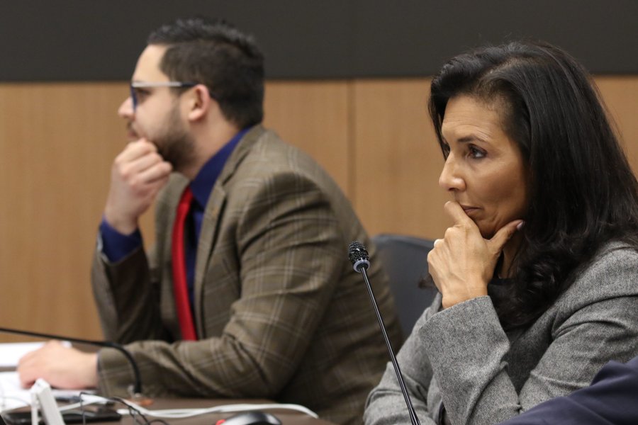 Paulina Ramírez plantea posponer por 2 años entrada en vigencia de ...