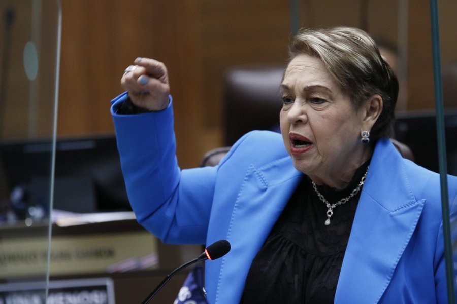 Gloria Navas asegura que ministro de Seguridad dio un golpe de Estado ...