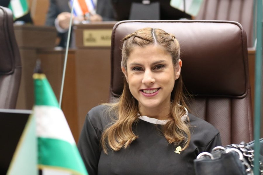 Andrea Álvarez propone elegir a una mujer como presidenta del Congreso ...