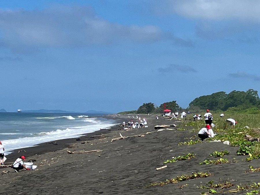 Voluntarios del Sistema Coca-Cola recolectan 701 kg de residuos en ...