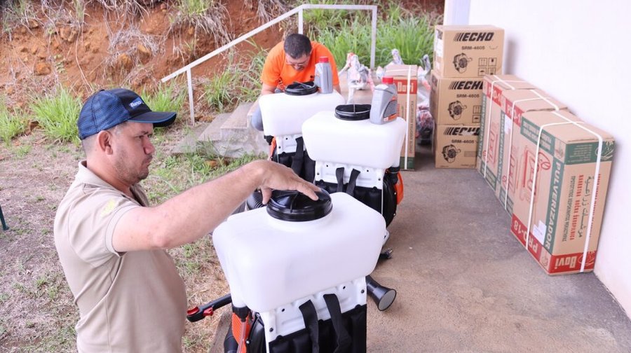 Reutilice la broza del café de la mañana para su jardín