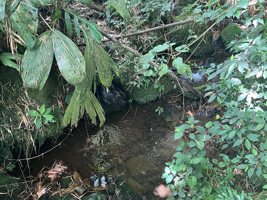El agua un problema mundial